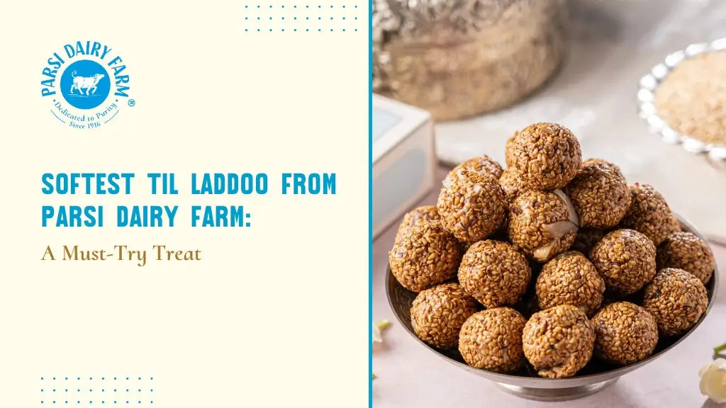 Softest Til Laddoo: A Winter Sweet You Must Try – Parsi Dairy Farm