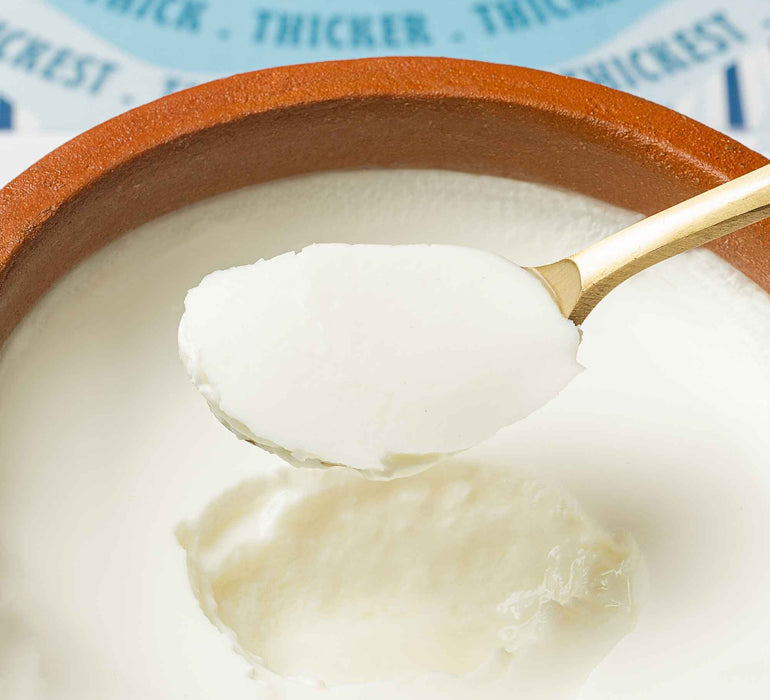 Classic Curd: Authentic Delight from | Parsi Dairy Farm