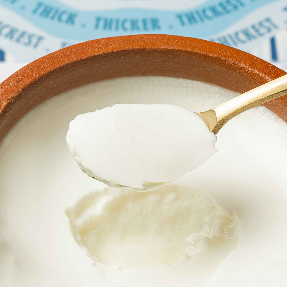 Classic Creamy Curd | Parsi Dairy Farm