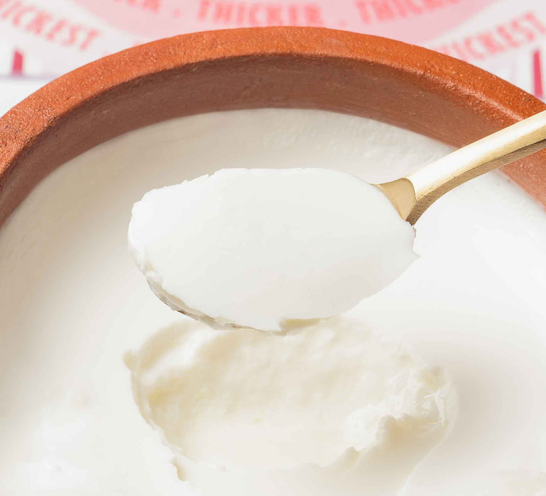 Classic Curd: Authentic Delight from | Parsi Dairy Farm